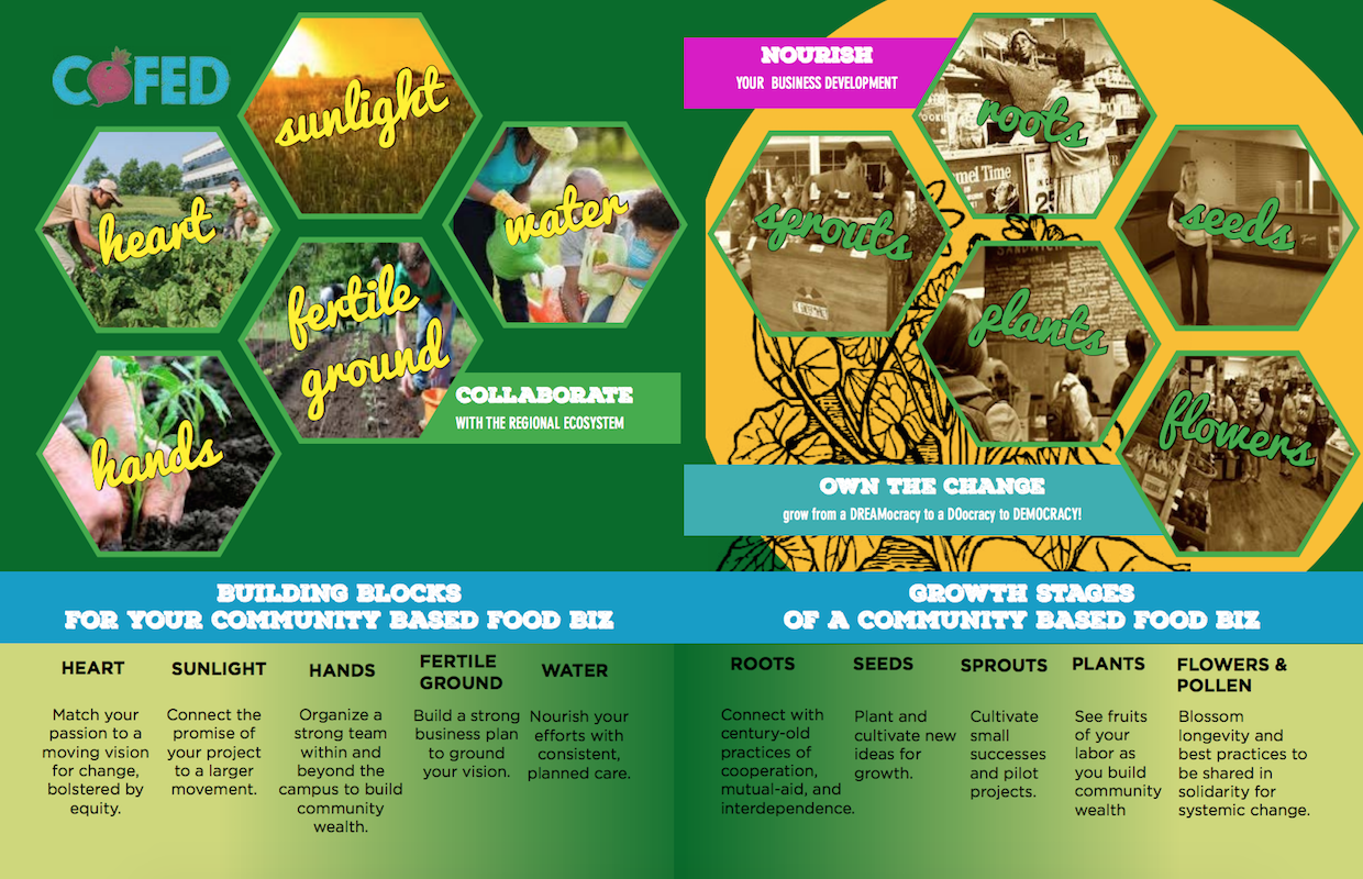 Training & Consultation – CoFED