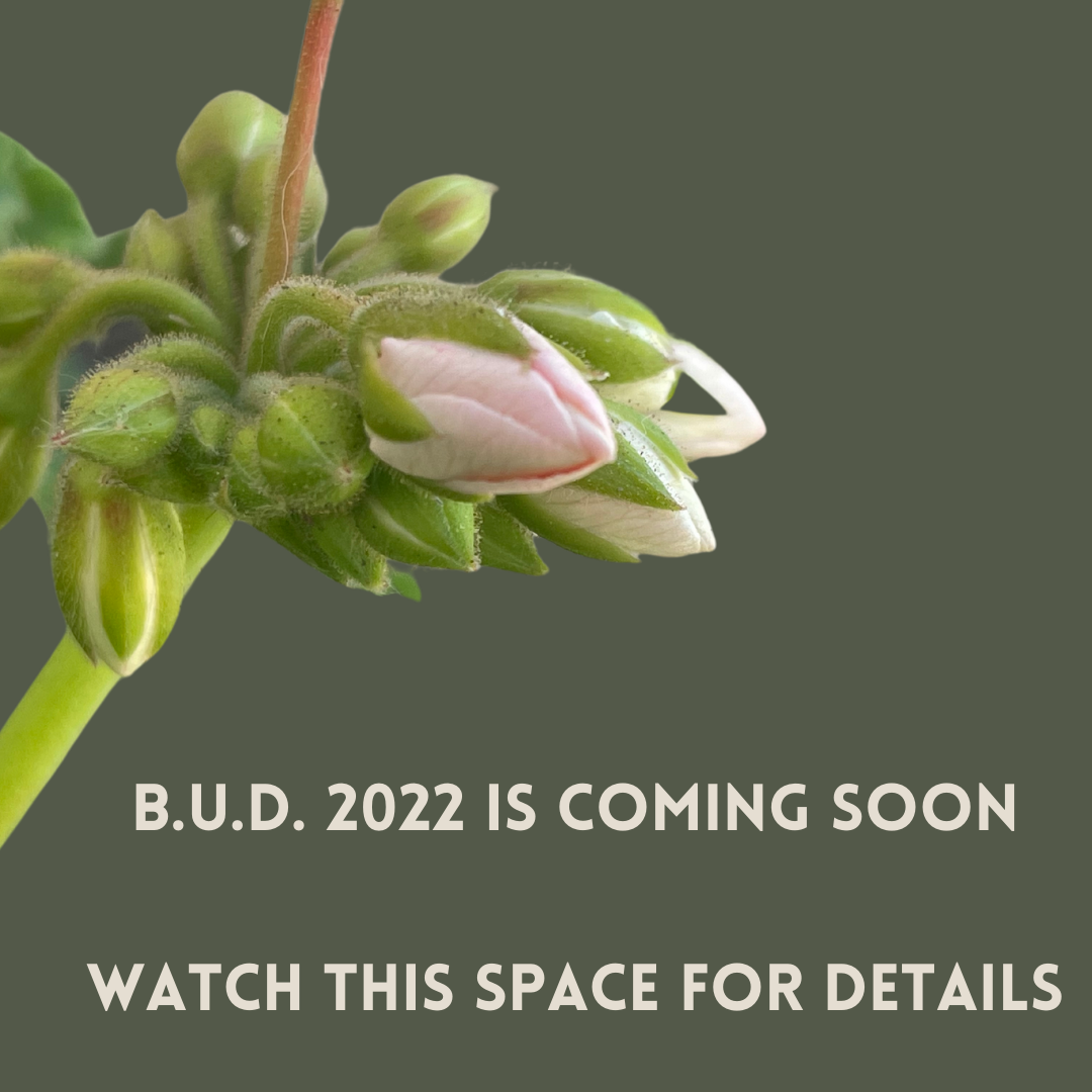 Build, Unlearn, Decolonize – CoFED