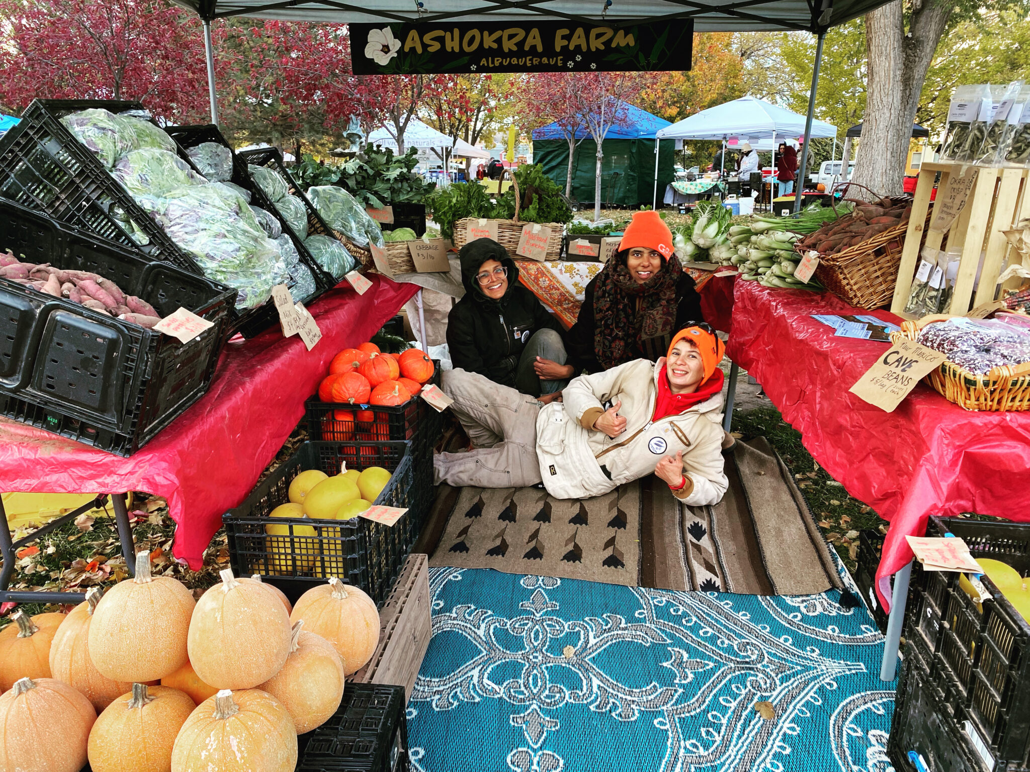 Meet our 2023-2024 CoFUND Movement Partners – CoFED